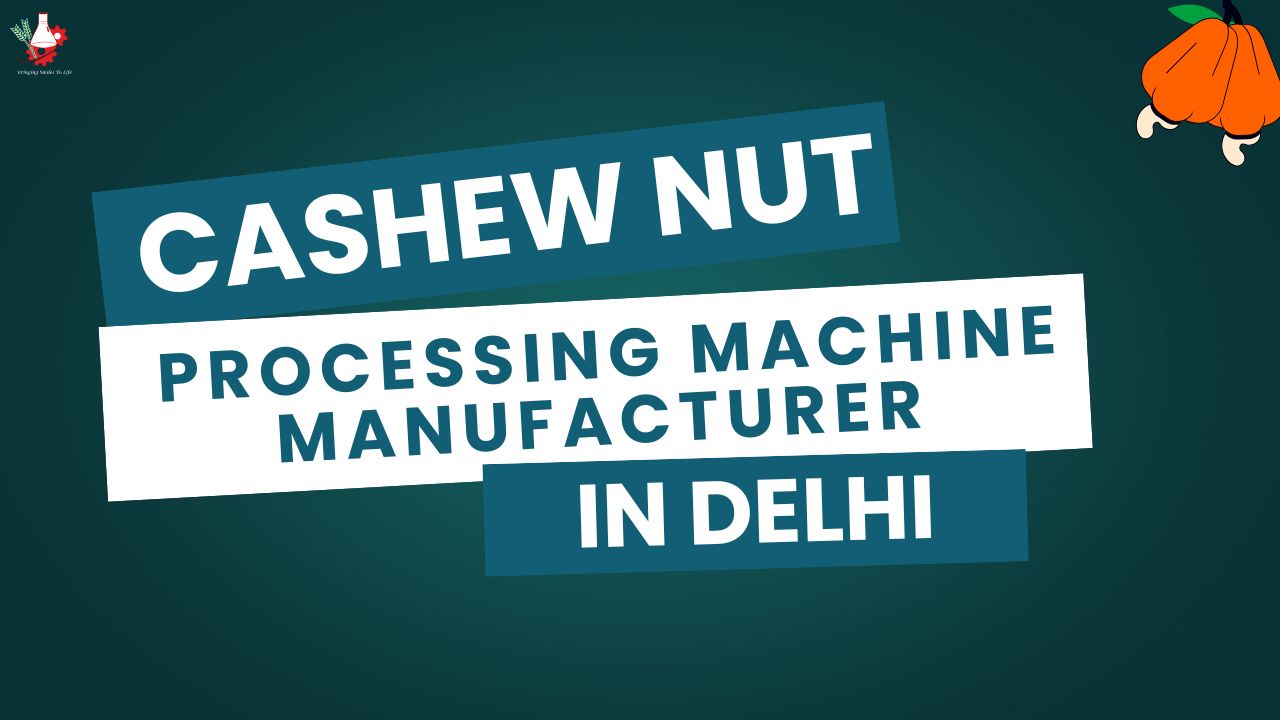 Cashew Nut Processing Machine Manufacturer in Delhi